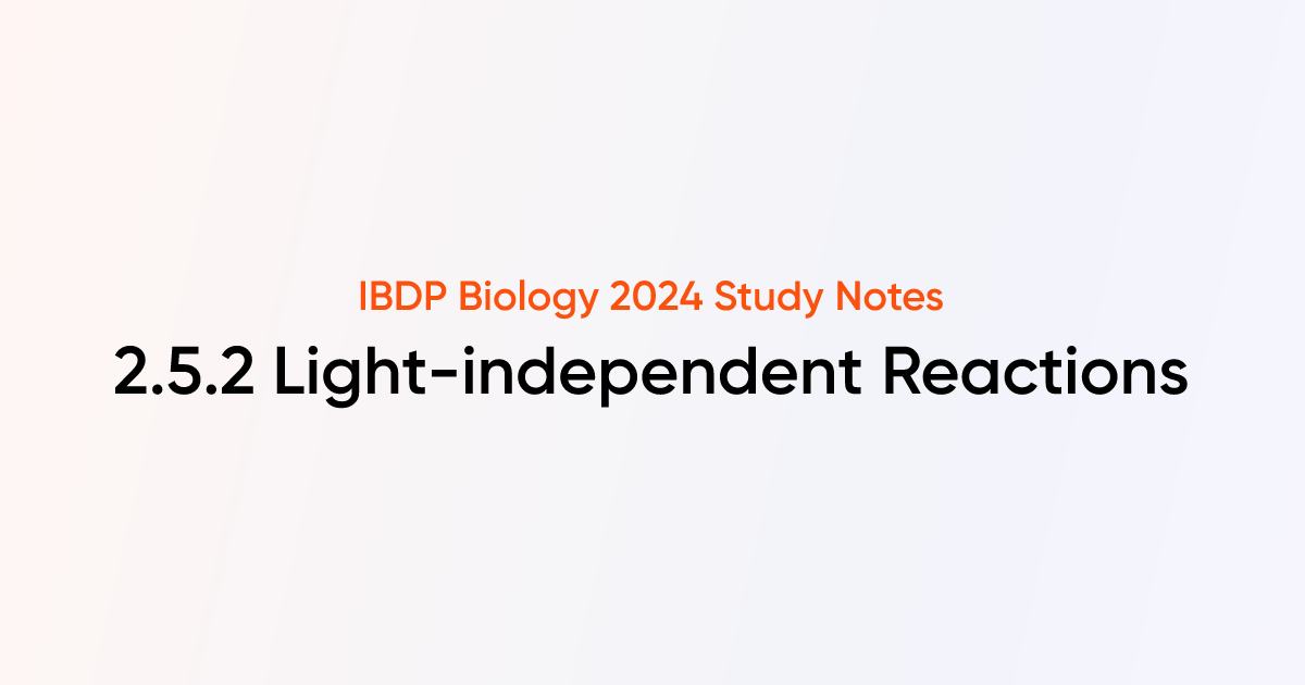 Light-independent Reactions (2.5.2) | IB DP Biology Notes | TutorChase