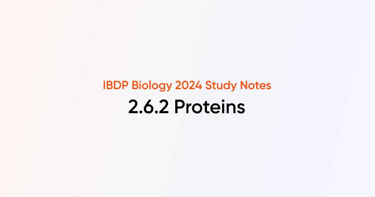 Proteins (2.6.2) | IB DP Biology Notes | TutorChase