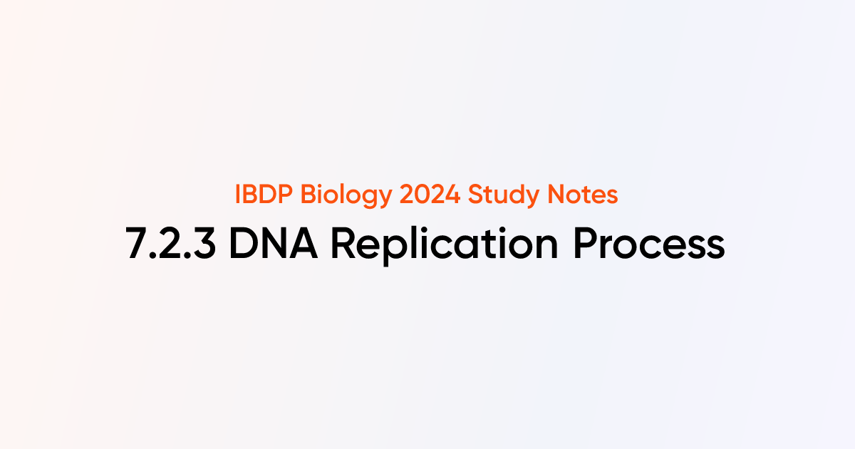 DNA Replication Process (7.2.3) | IB DP Biology Notes | TutorChase