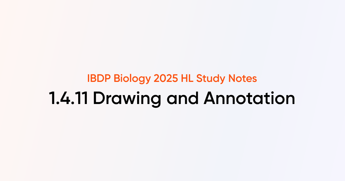 Drawing and Annotation (1.4.11) | IB DP Biology HL 2025 Notes | TutorChase