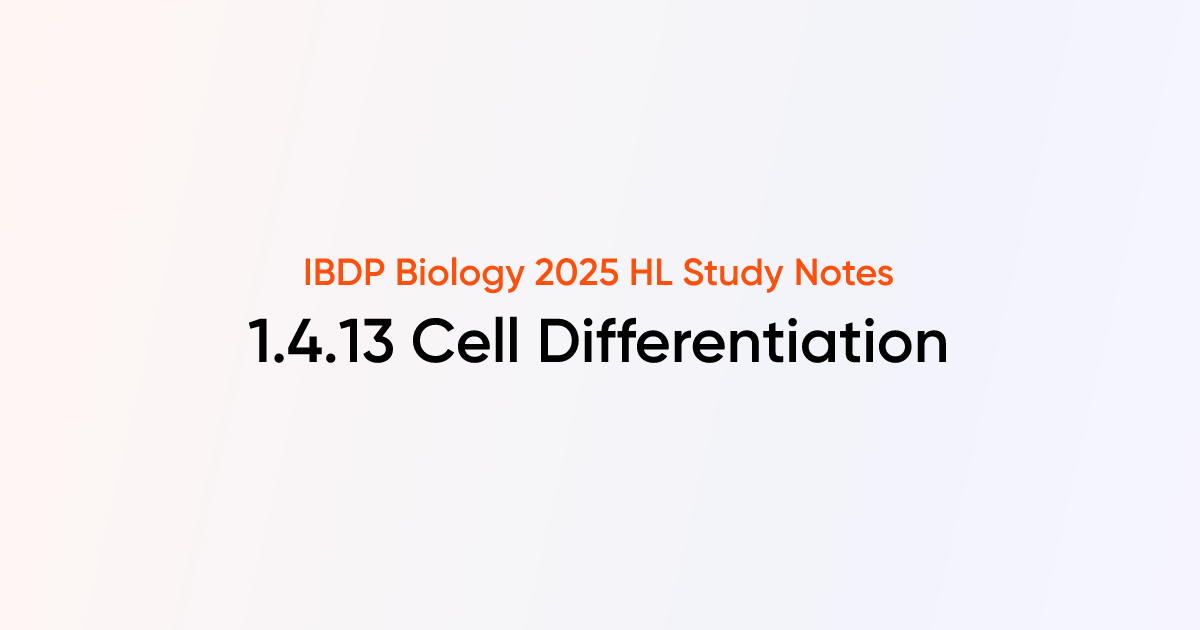 Cell Differentiation (1.4.13) | IB DP Biology HL 2025 Notes | TutorChase