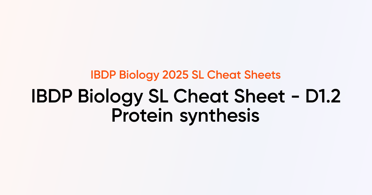 IBDP Biology SL Cheat sheet - D1.2 Protein synthesis | IBDP Biology ...