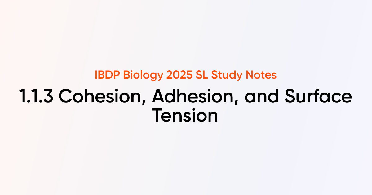 Cohesion, Adhesion, and Surface Tension (1.1.3) | IB DP Biology SL 2025 ...