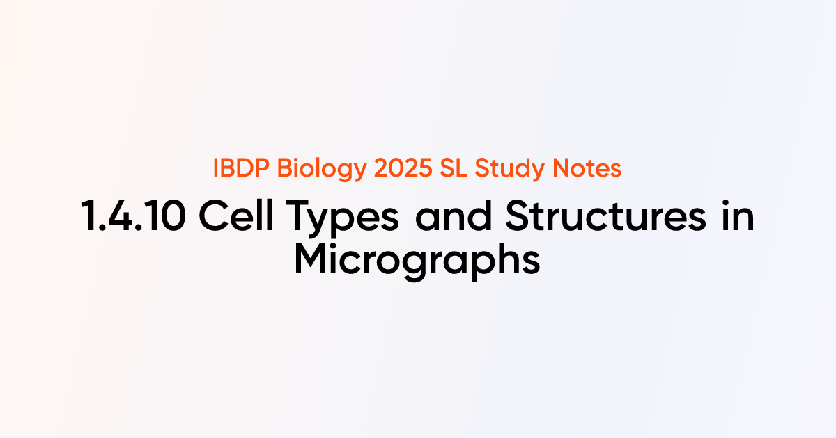 Cell Types and Structures in Micrographs (1.4.10) | IB DP Biology SL ...