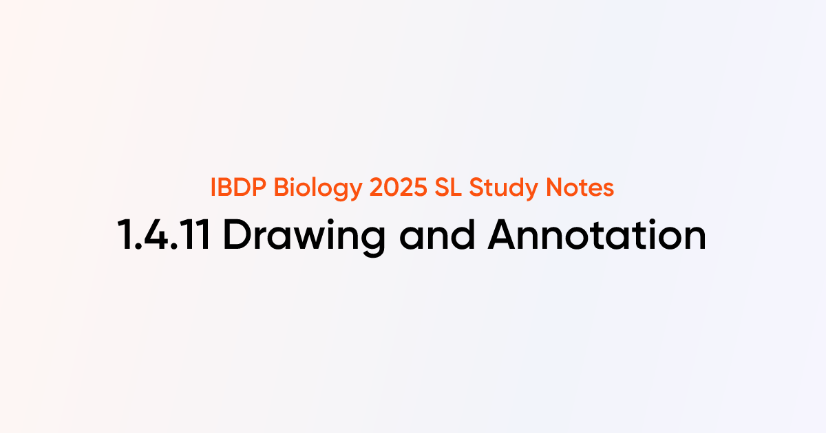 Drawing and Annotation (1.4.11) | IB DP Biology SL 2025 Notes | TutorChase