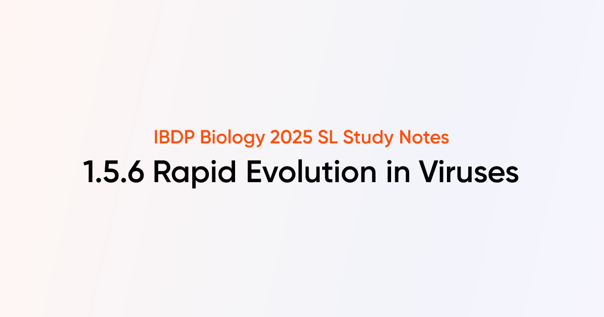 Rapid Evolution in Viruses (1.5.6) | IB DP Biology SL 2025 Notes ...