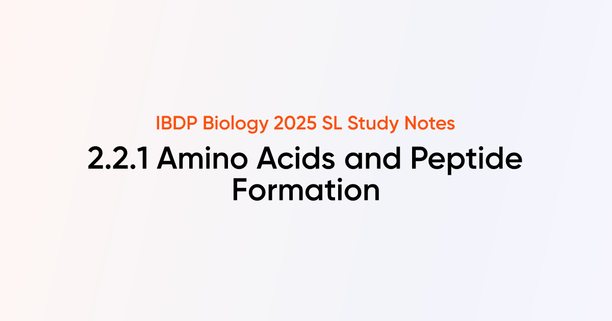 Amino Acids and Peptide Formation (2.2.1) | IB DP Biology SL 2025 Notes ...