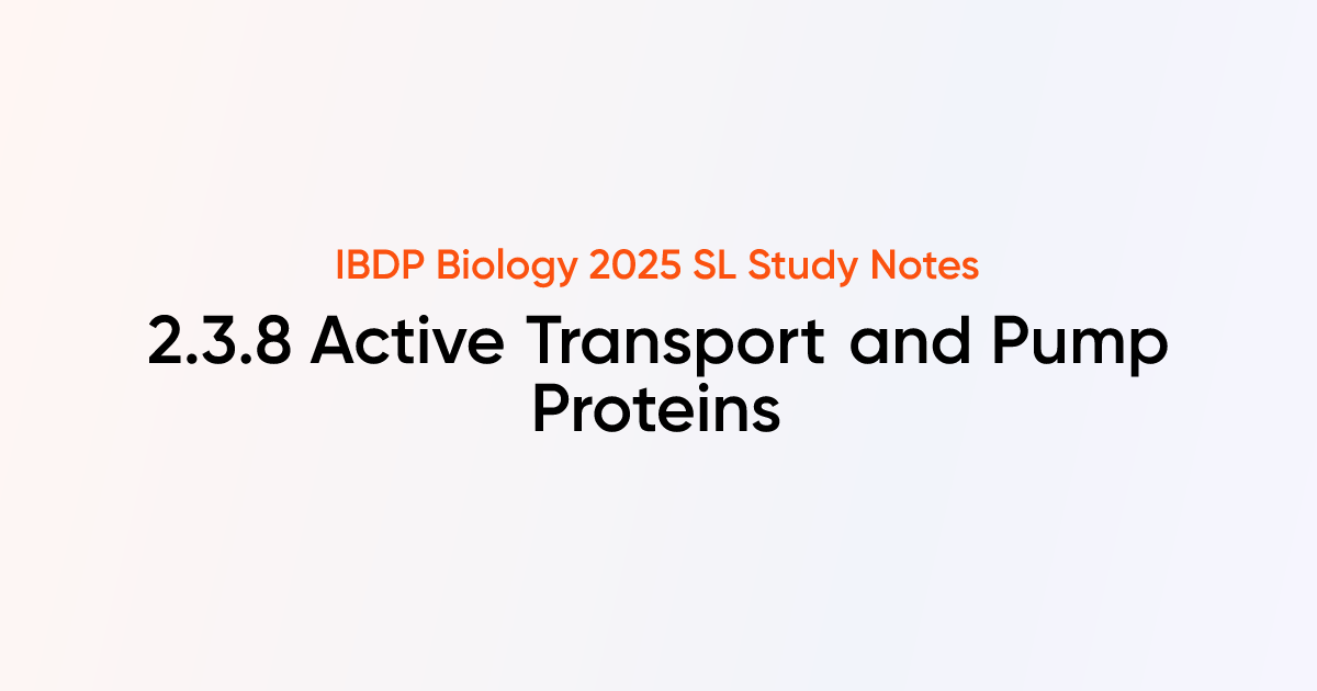 Active Transport and Pump Proteins (2.3.8) | IB DP Biology SL 2025 ...
