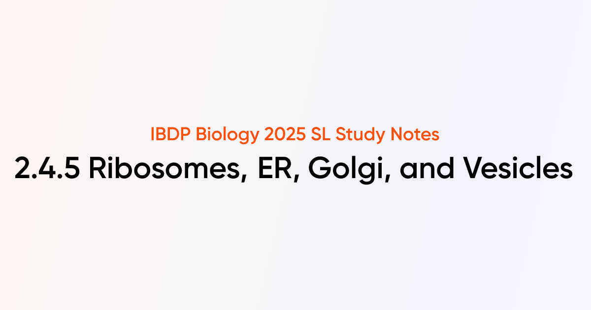 Ribosomes, ER, Golgi, and Vesicles (2.4.5) | IB DP Biology HL 2025 ...