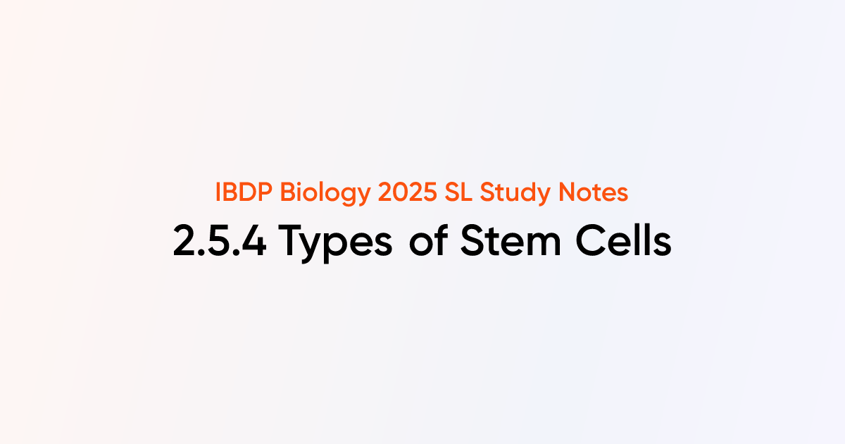Types of Stem Cells (2.5.4) | IB DP Biology SL 2025 Notes | TutorChase