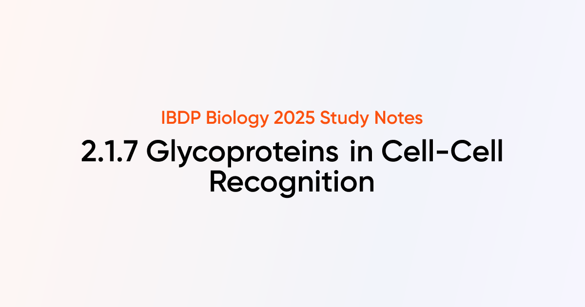 Glycoproteins in Cell-Cell Recognition (2.1.7) | IB DP Biology HL 2025 ...