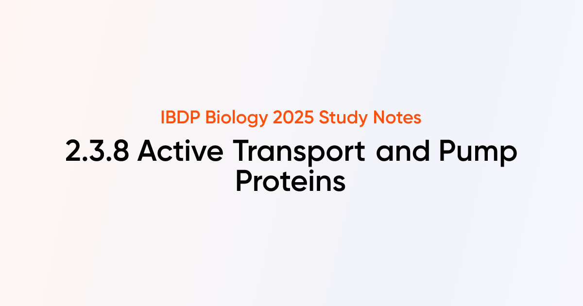Active Transport and Pump Proteins (2.3.8) | IB DP Biology HL 2025 ...