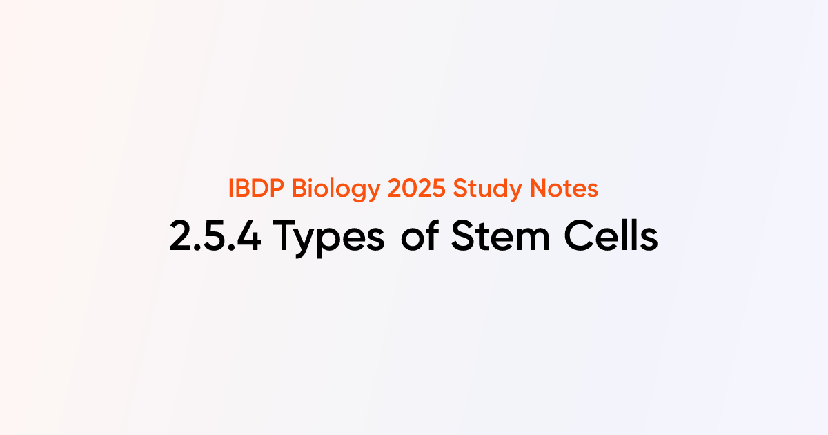 Types of Stem Cells (2.5.4) | IB DP Biology HL 2025 Notes | TutorChase