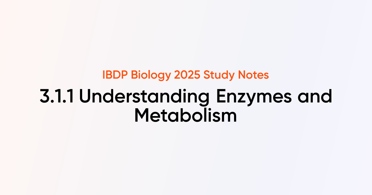 Understanding Enzymes and Metabolism (3.1.1) | IB DP Biology HL 2025 ...