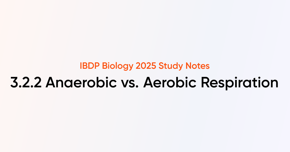 Anaerobic vs. Aerobic Respiration (3.2.2) | IB DP Biology HL 2025 Notes ...