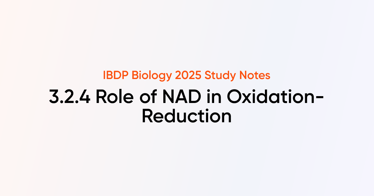 Role of NAD in Oxidation-Reduction (3.2.4) | IB DP Biology HL 2025 ...