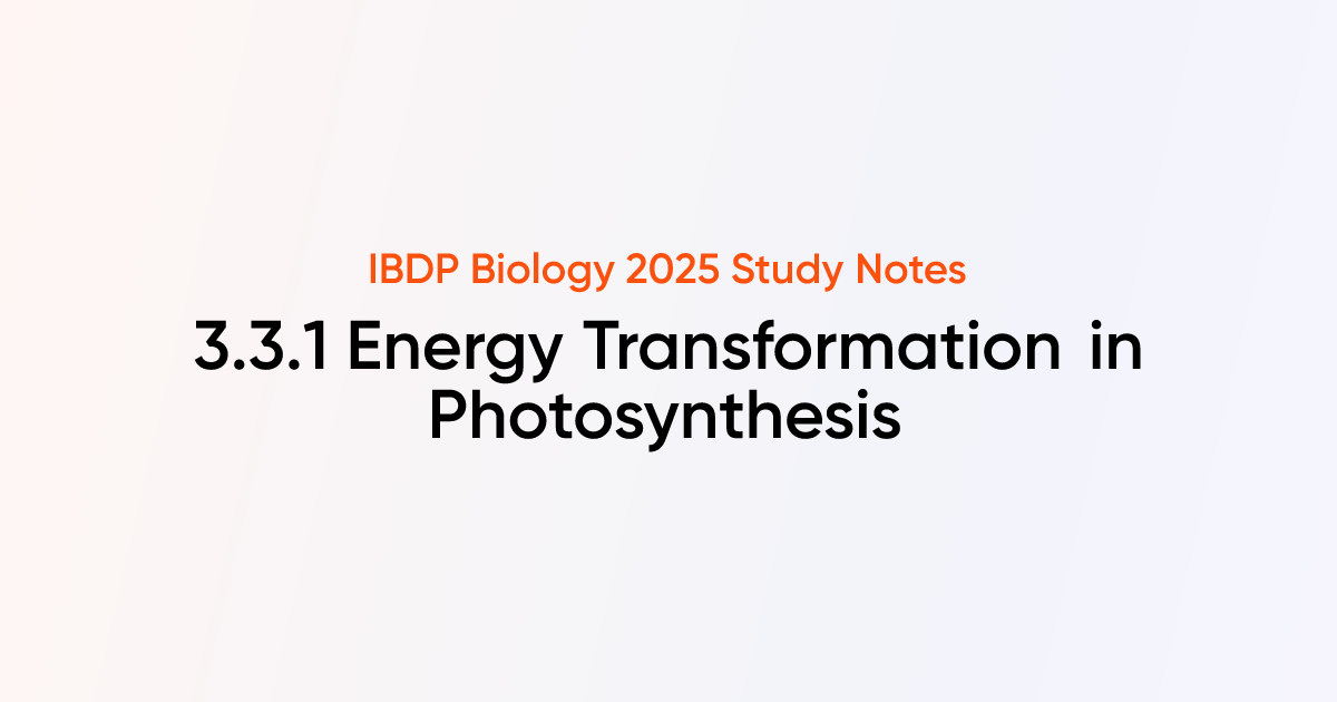 Energy Transformation in Photosynthesis (3.3.1) | IB DP Biology HL 2025 ...