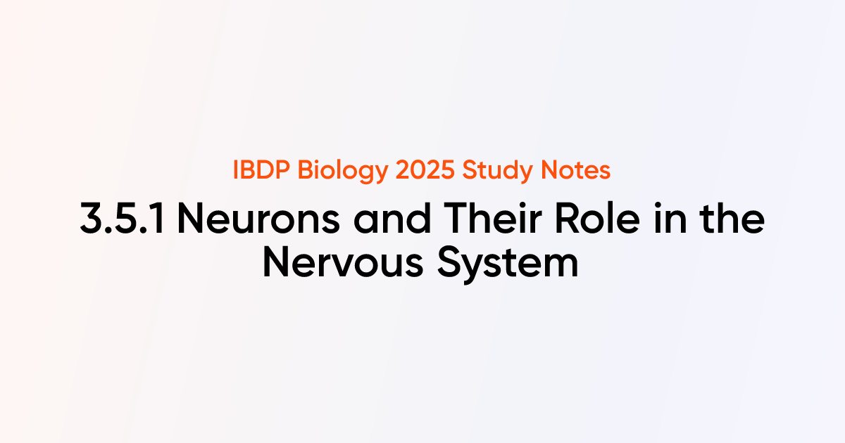 Neurons and Their Role in the Nervous System (3.5.1) | IB DP Biology HL ...