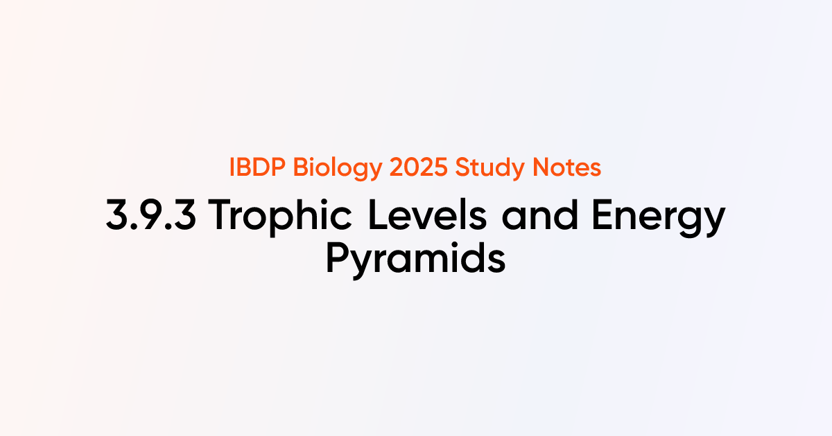 Trophic Levels and Energy Pyramids (3.9.3) | IB DP Biology HL 2025 ...