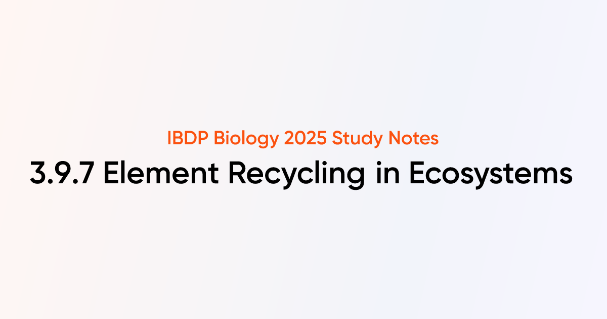 Element Recycling in Ecosystems (3.9.7) | IB DP Biology HL 2025 Notes ...