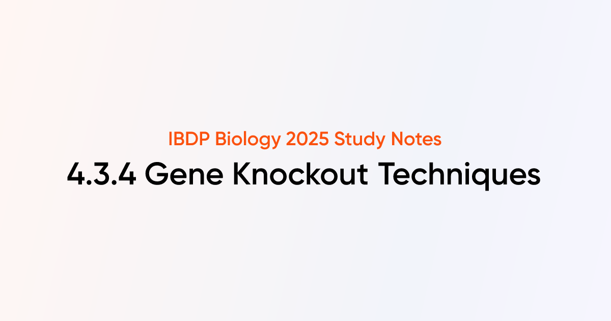 Gene Knockout Techniques (4.3.4) | IB DP Biology HL 2025 Notes | TutorChase