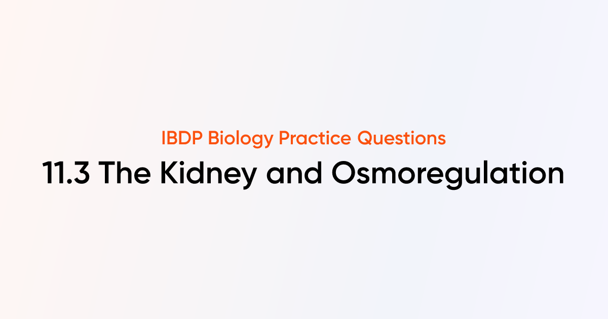 The Kidney and Osmoregulation (11.3) | IB DP Biology Questions | TutorChase