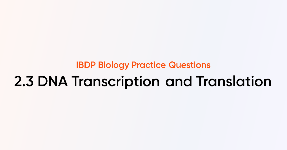 DNA Transcription and Translation (2.3) | IB DP Biology Questions ...