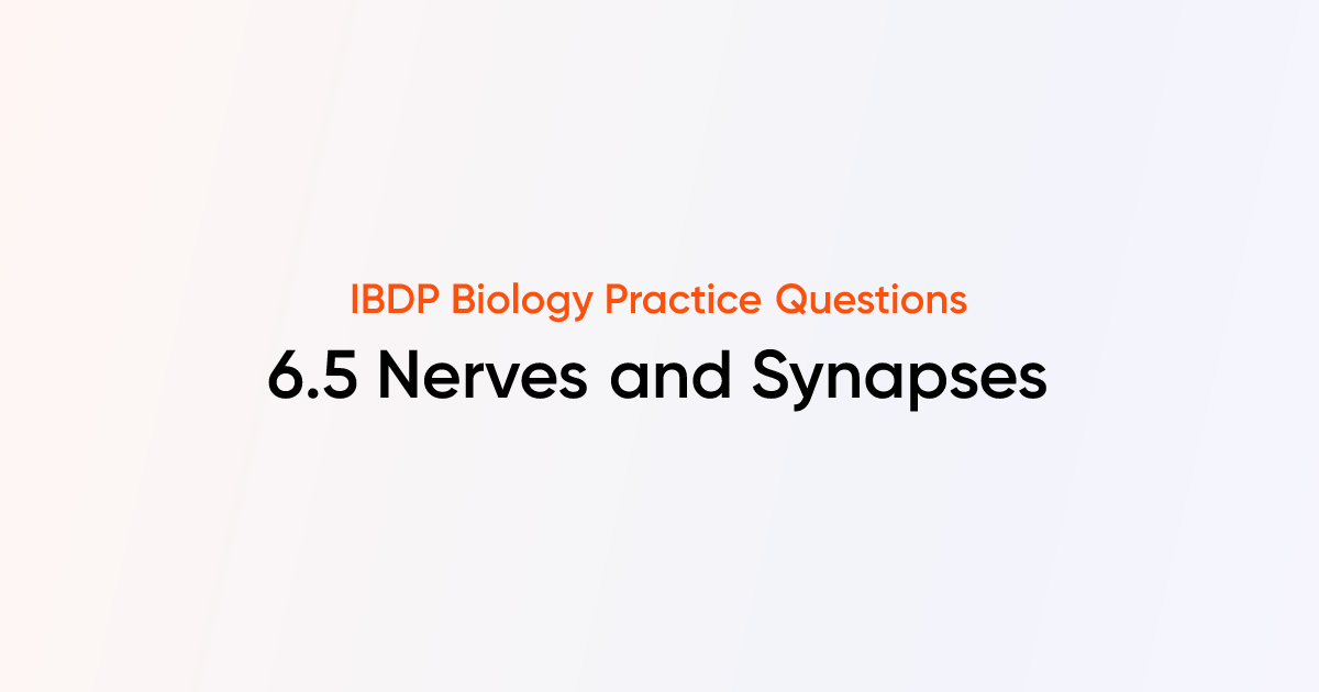 Nerves and Synapses (6.5) | IB DP Biology Questions | TutorChase