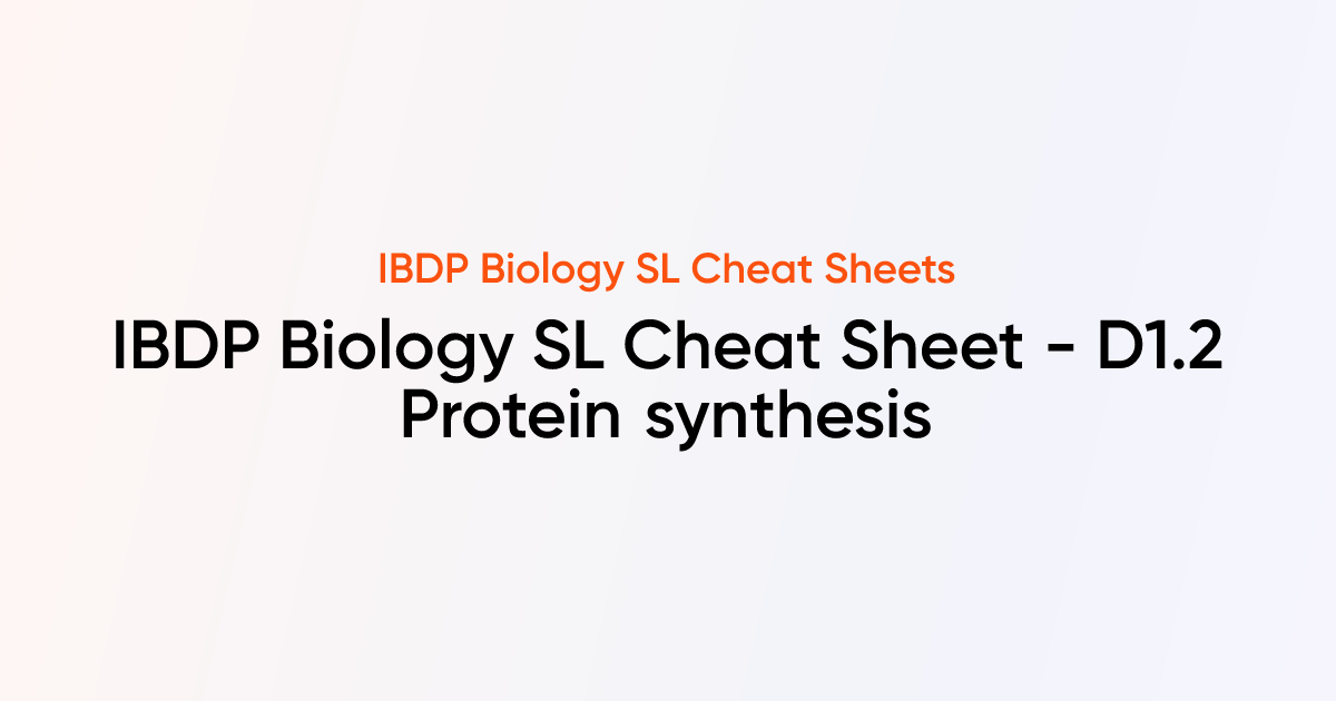 IBDP Biology SL Cheat sheet - D1.2 Protein synthesis | IBDP Biology ...