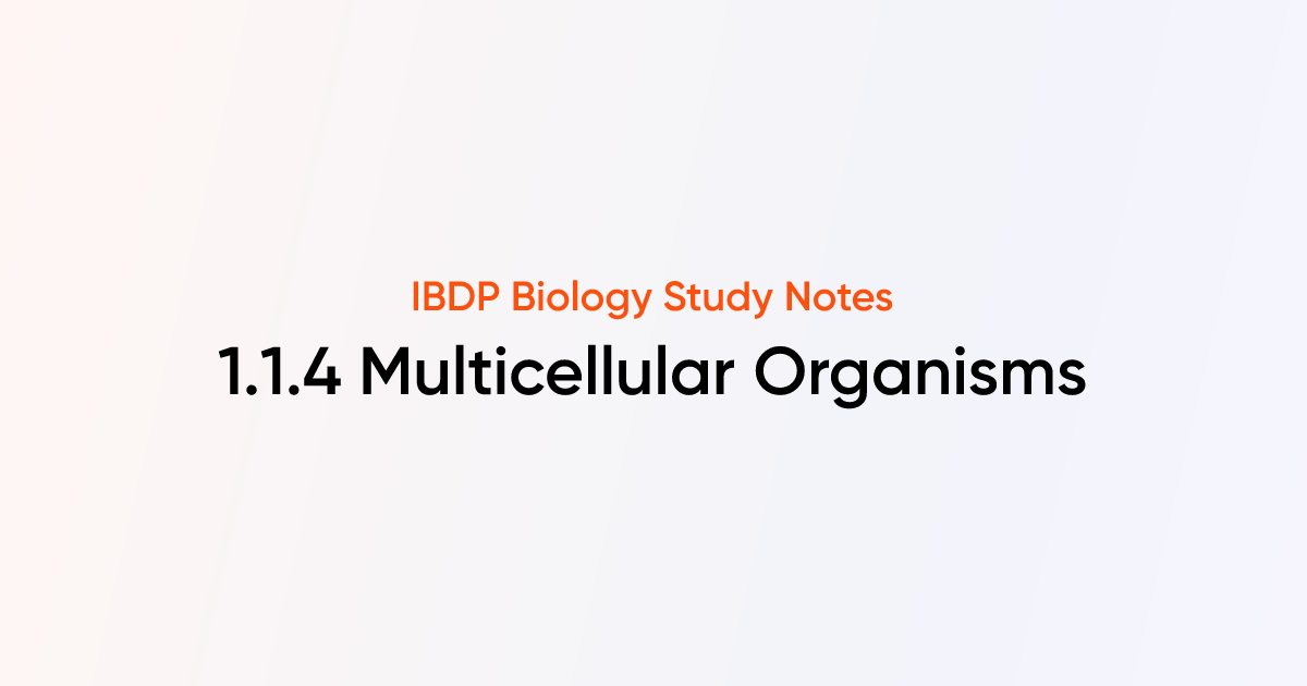 Multicellular Organisms (1.1.4) | IB DP Biology Notes | TutorChase