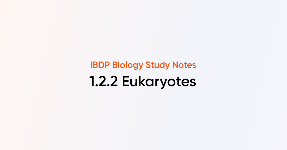 Eukaryotes (1.2.2) | IB DP Biology Notes | TutorChase