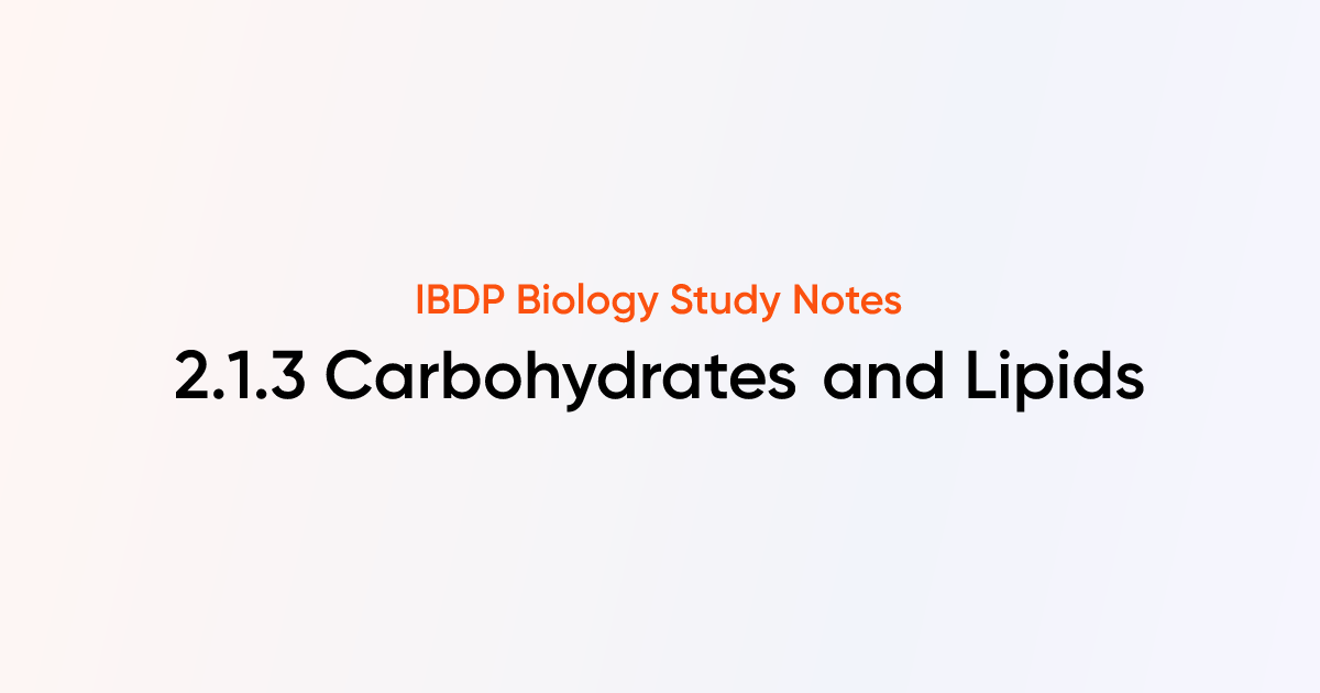 Carbohydrates and Lipids (2.1.3) | IB DP Biology Notes | TutorChase