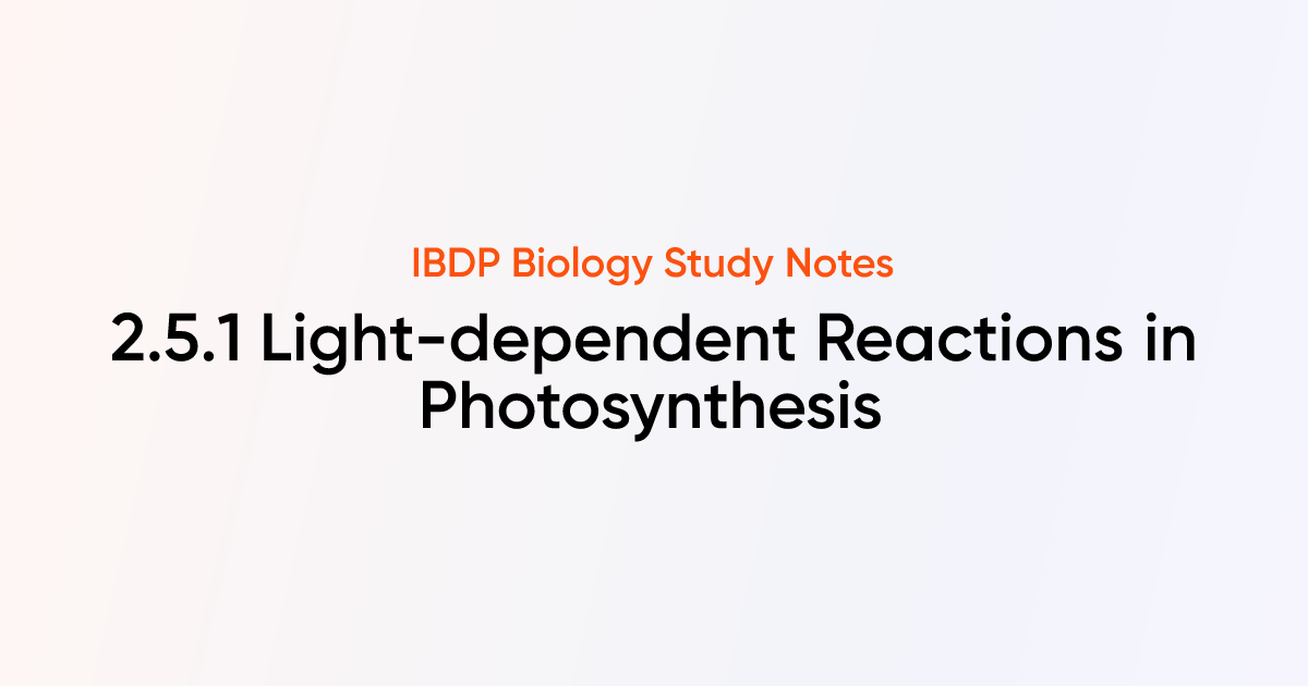 Light-dependent Reactions in Photosynthesis (2.5.1) | IB DP Biology ...