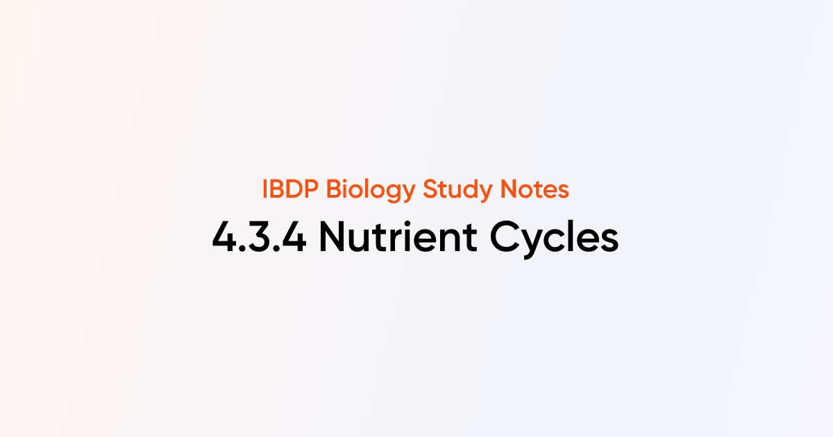 Nutrient Cycles (4.3.4) | IB DP Biology Notes | TutorChase