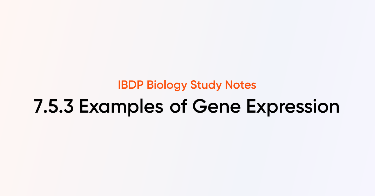 Examples of Gene Expression (7.5.3) | IB DP Biology Notes | TutorChase