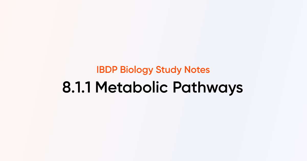 Metabolic Pathways 811 Ib Dp Biology Notes Tutorchase