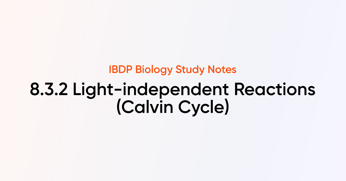 Light-independent Reactions (Calvin Cycle) (8.3.2) | IB DP Biology ...