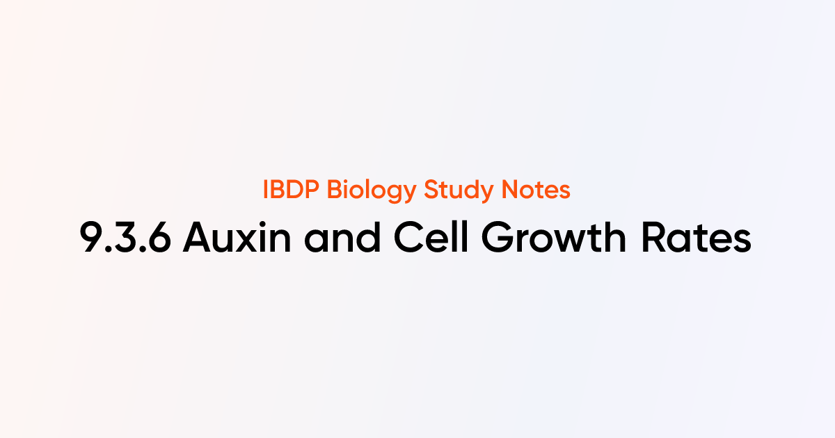 Auxin and Cell Growth Rates (9.3.6) | IB DP Biology Notes | TutorChase
