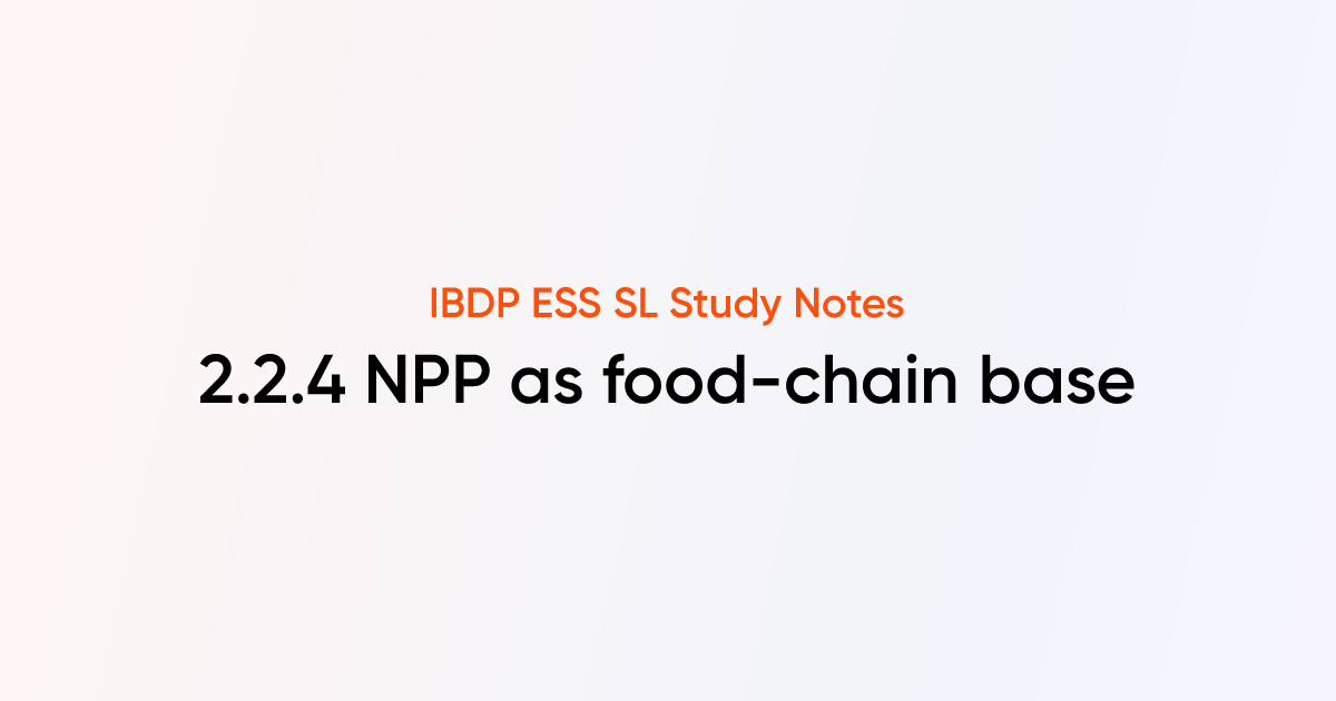 NPP as food-chain base (2.2.4) | IB DP ESS SL | TutorChase