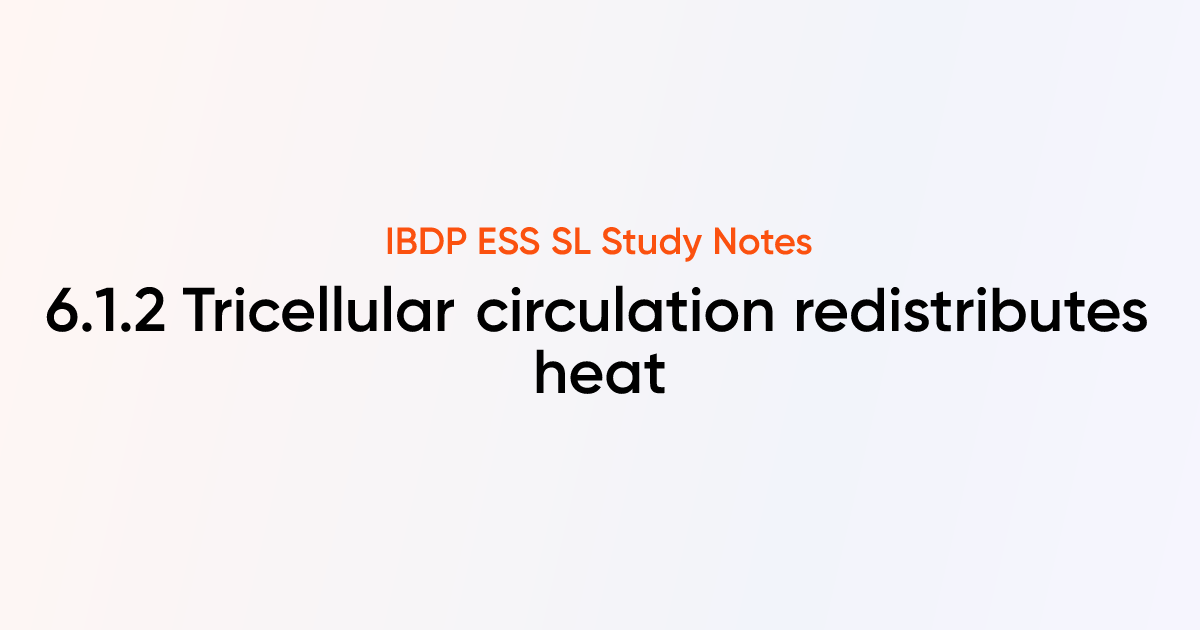 Tricellular circulation redistributes heat (6.1.2) | IB DP ESS SL ...