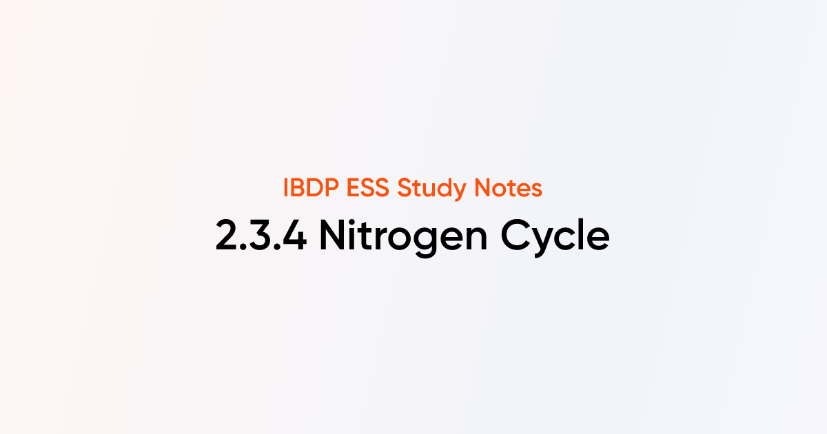 Nitrogen Cycle (2.3.4) | IB DP ESS | TutorChase