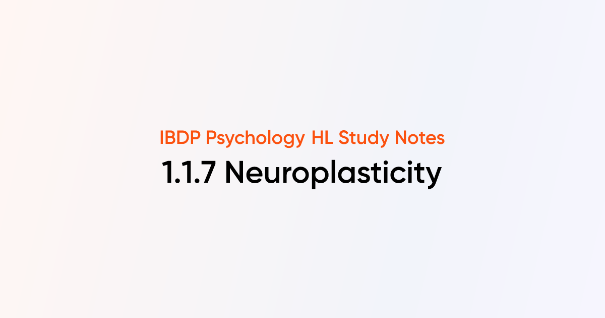 Neuroplasticity (1.1.7) | IB DP Psychology HL | TutorChase