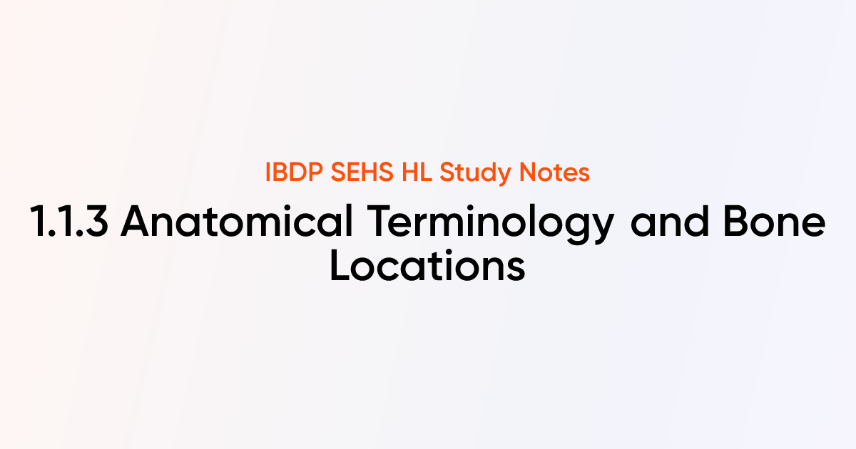 Anatomical Terminology and Bone Locations (1.1.3) | IB DP Sports ...