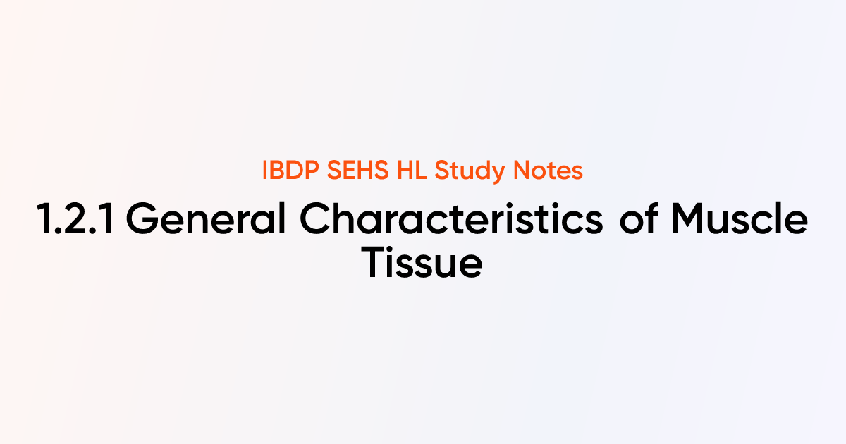 General Characteristics of Muscle Tissue (1.2.1) | IB DP Sports ...