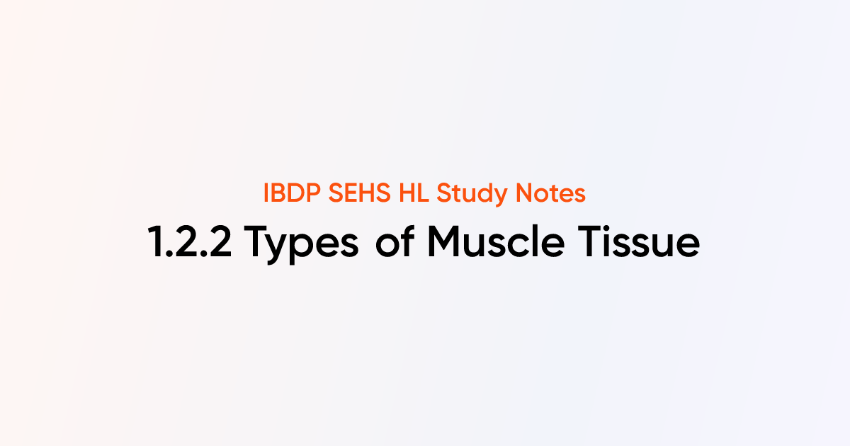 Types of Muscle Tissue (1.2.2) | IB DP Sports, Exercise and Health ...