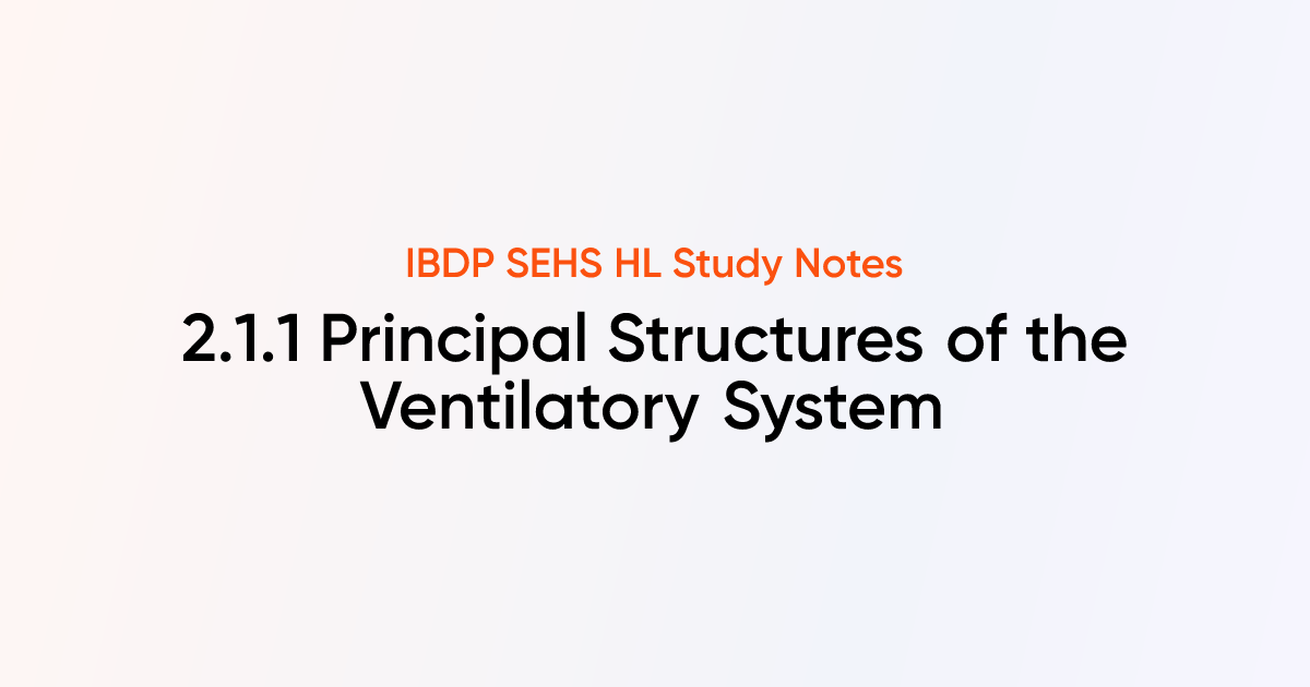 Principal Structures of the Ventilatory System (2.1.1) | IB DP Sports ...