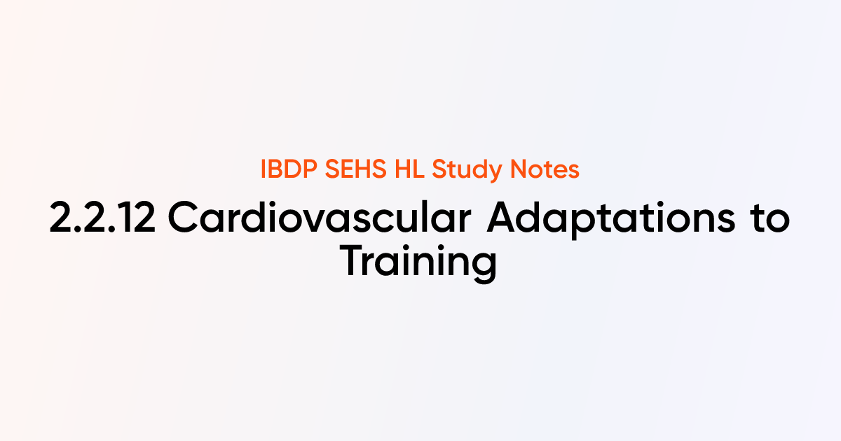 Cardiovascular Adaptations to Training (2.2.12) | IB DP Sports ...