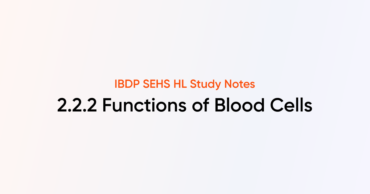 Functions of Blood Cells (2.2.2) | IB DP Sports, Exercise and Health ...