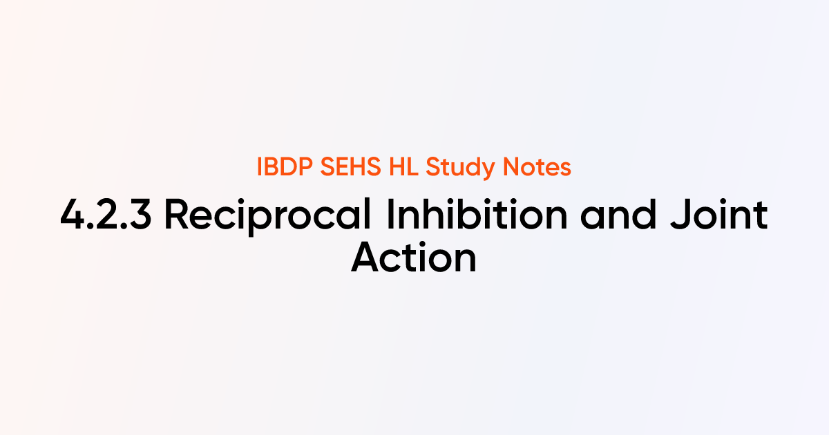 Reciprocal Inhibition and Joint Action (4.2.3) | IB DP Sports, Exercise ...
