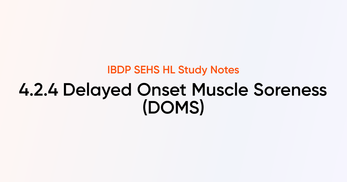 Delayed Onset Muscle Soreness (DOMS) (4.2.4) | IB DP Sports, Exercise ...